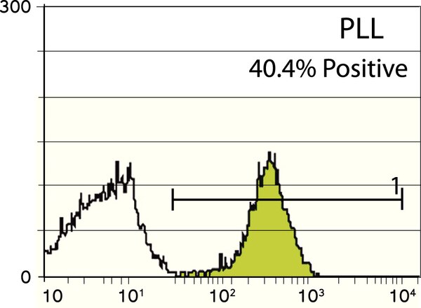 Anti-FMC-7 B-Cell Lymphocyte Marker Antibody, clone FMC-7, FITC ...